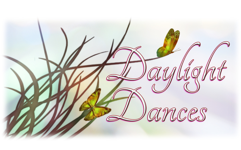daylight dances-banner-2-11-13 – Hollywood Ballroom Dance Center